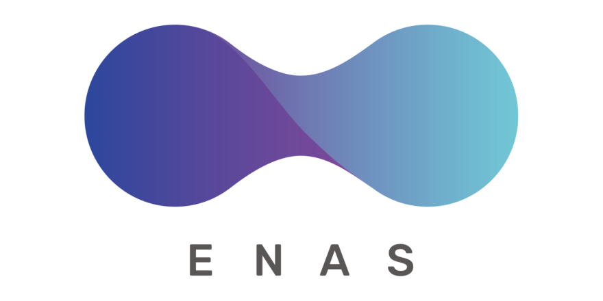 Company - 株式会社ENAS